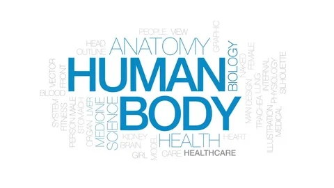 Human body animated word cloud, text des... | Stock Video | Pond5