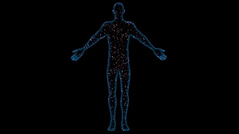 Human body filled with particles. 3d ani... | Stock Video | Pond5