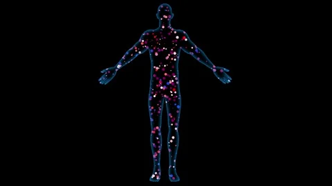 Human body filled with particles. 3d ani... | Stock Video | Pond5