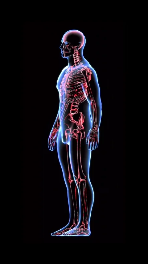 Human Body HUD X-ray of a man on compute... | Stock Video | Pond5
