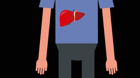 Liver Function Animations Stock Videos – Royalty-Free HD & 4K Videos ...