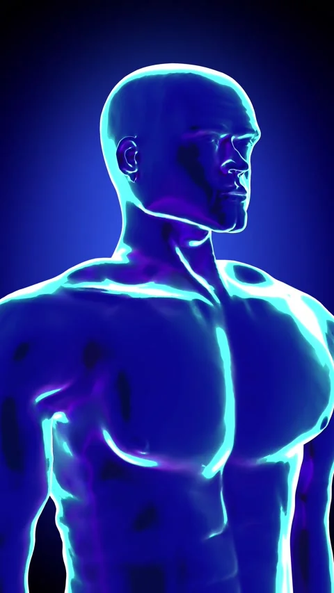 Male Muscle Anatomy Stock Videos – Royalty-Free HD & 4K Videos | Page 2