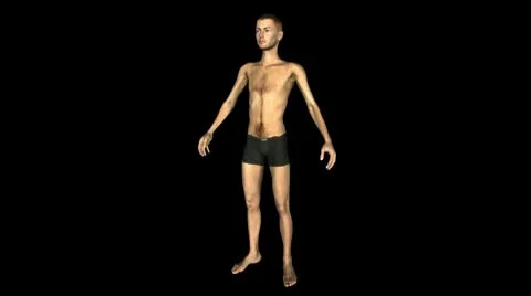 The Human Body Muscle Animation. Loop. A... | Stock Video | Pond5