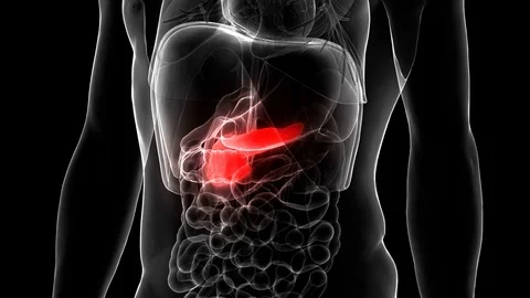 Body Stock Video Footage | Royalty Free Body Videos | Pond5