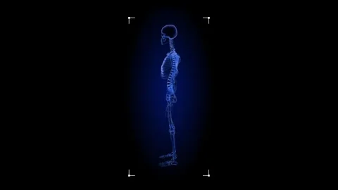 Outline Of Human Body Stock Footage ~ Royalty Free Stock Videos | Pond5
