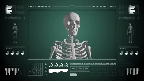 Skeleton Body Stock Videos – Royalty-Free HD & 4K Videos | Pond5
