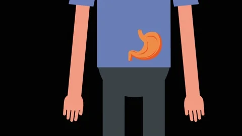 Human body stomach 4K Animation | Stock Video | Pond5