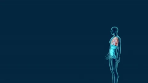 Human body x-ray scan with visible respi... | Stock Video | Pond5
