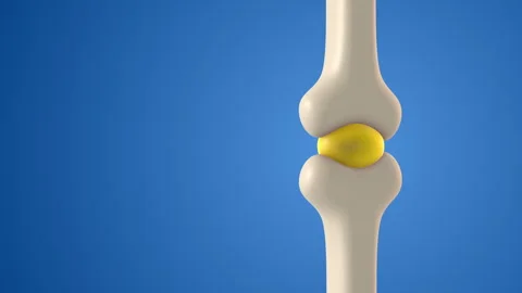 Synovial Joint Anatomy Stock Videos – Royalty-Free HD & 4K Videos