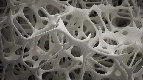 Human bone tissue growing, scanning elec... | Stock Video | Pond5