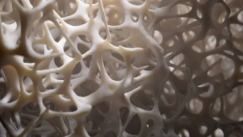 Human bone tissue growing slowly, 3d ani... | Stock Video | Pond5
