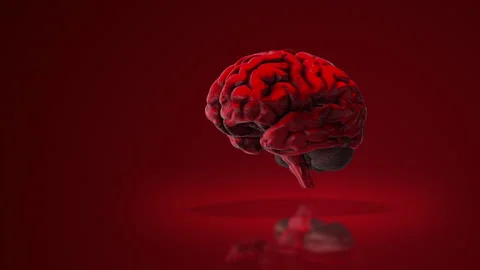 Human brain in 3D medical animation | Stock Video | Pond5