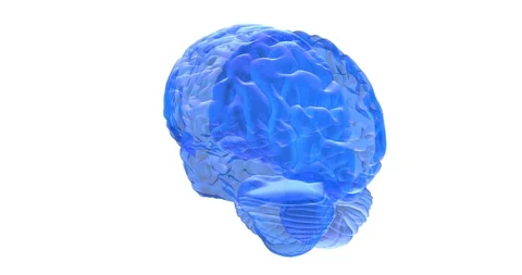 Render Brain Stock Video Footage | Royalty Free Render Brain Videos | Pond5