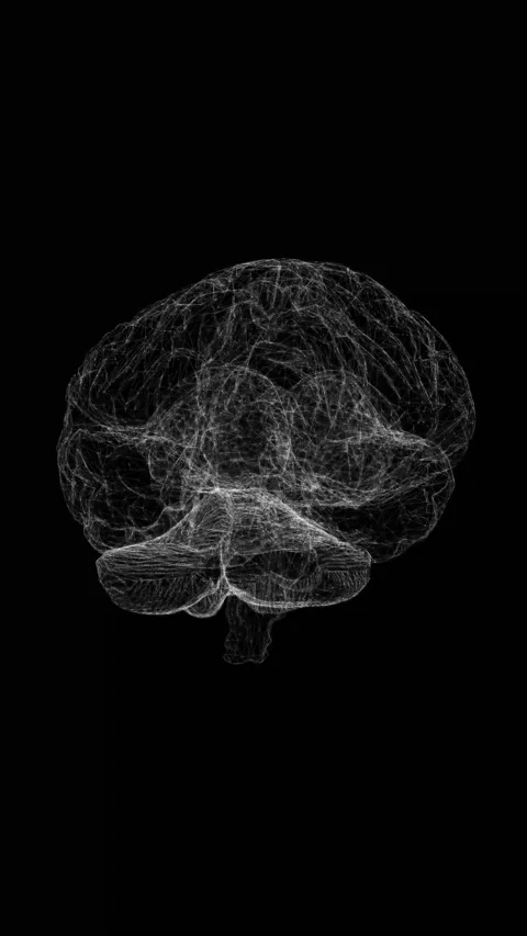 Human brain animation 3d. Vertical 4K | Stock Video | Pond5