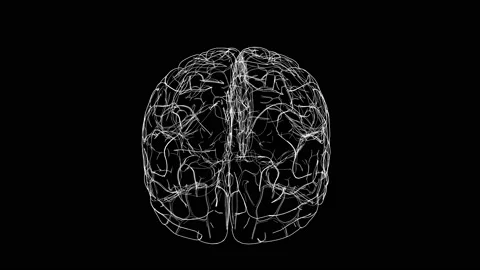 Human brain, animation | Stock Video | Pond5