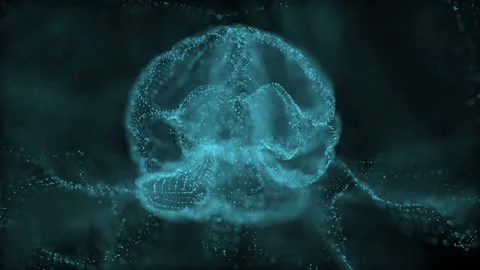 Human brain being formed by revolving pa... | Stock Video | Pond5