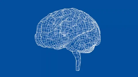 Human brain concept blueprint style | Stock Video | Pond5