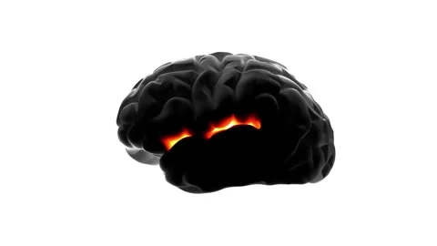 Human brain damage, red inflammatory pro... | Stock Video | Pond5