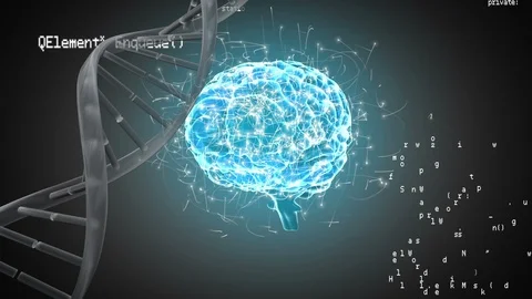 Human brain, DNA helix and interface cod... | Stock Video | Pond5