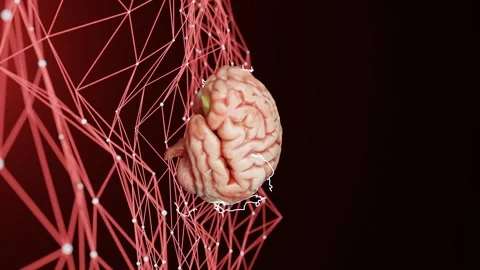 Human brain floating above a digital net... | Stock Video | Pond5