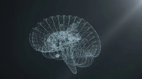 The human brain is formed by spinning mu... | Stock Video | Pond5