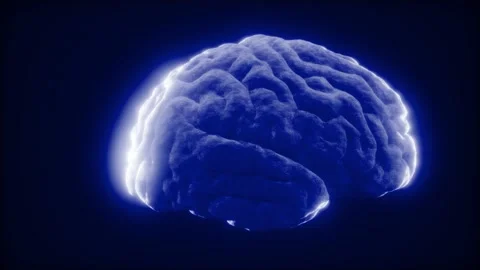 Rotating Brain Stock Footage ~ Royalty Free Stock Videos | Pond5