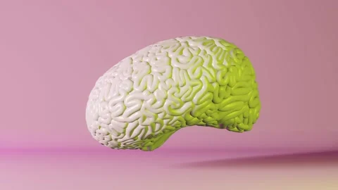 Positive Brain Animation Stock Video Footage | Royalty Free Positive ...