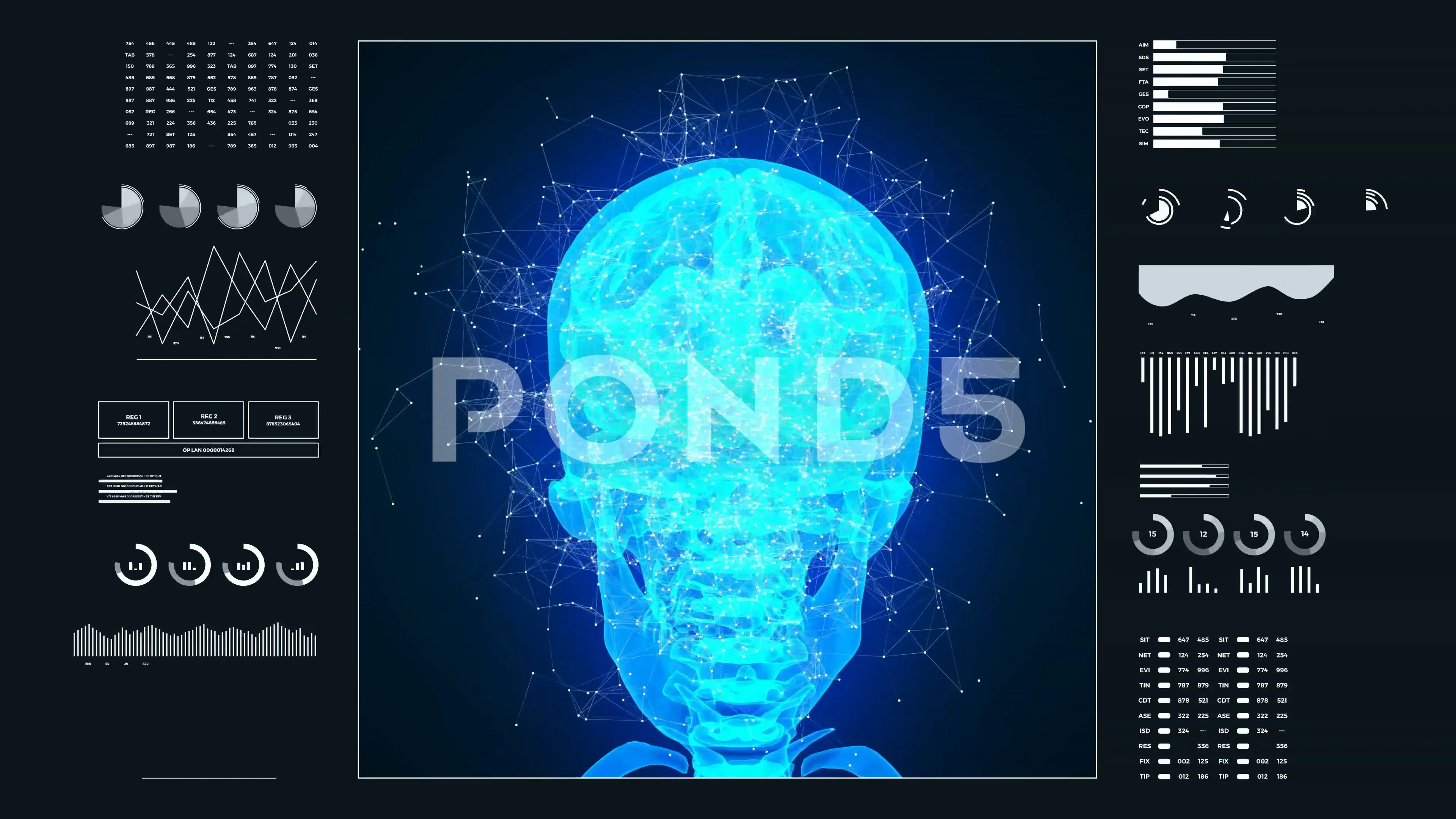 What Does The Inside Of A Human Brain Look Like - Infoupdate.org