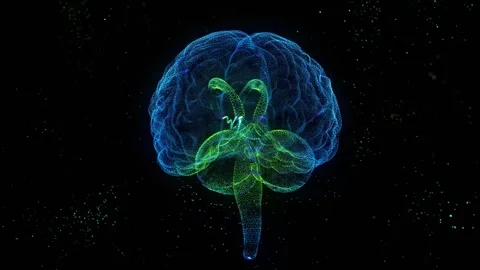 Human brain. Nervous system mesh of huma... | Stock Video | Pond5