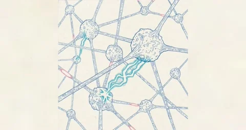 Human Brain Neuron Animation | Stock Video | Pond5