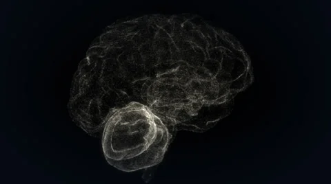 Human brain particles activity highlight... | Stock Video | Pond5