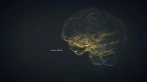 Human brain particles regions highlighte... | Stock Video | Pond5