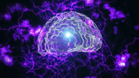Human brain rotates in electric field. B... | Stock Video | Pond5