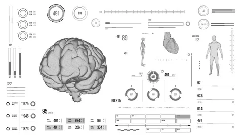 Human brain scan. | Stock Video | Pond5