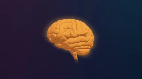 Human brain spinning 360 animation 01 | Stock Video | Pond5