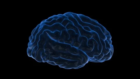 Spinning Brain Stock Video Footage | Royalty Free Spinning Brain Videos ...