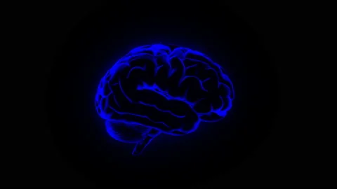 Human brain spinning. Loopable animation... | Stock Video | Pond5