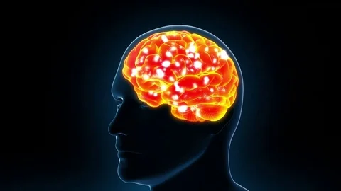 Brain Thinking Stock Footage ~ Royalty Free Stock Videos | Pond5