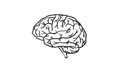human brain white board doodle medical s... | Stock Video | Pond5