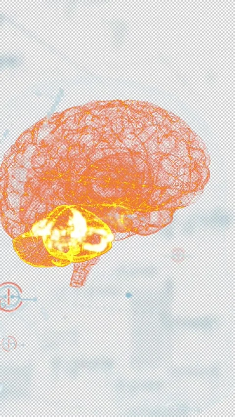 Human Brain X-Ray Cyber Scanner With Alp... | Stock Video | Pond5