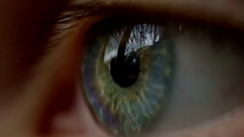 Human Close up eye blinking, Blinking Ey... | Stock Video | Pond5