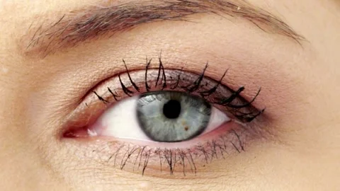 Eye Blink Blinking Stock Video Footage | Royalty Free Eye Blink ...