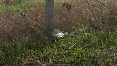 Human contamination, an ecological disas... | Stock Video | Pond5