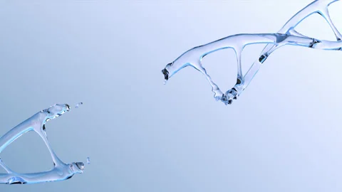 human dna structure with glass helix des... | Stock Video | Pond5