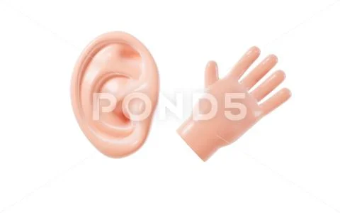 Human ear and hand, 3d rendering. Illustration #278572564