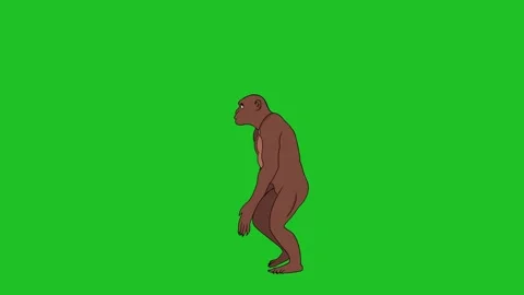 Charles Darwin Animation Stock Videos – Royalty-Free HD & 4K Videos
