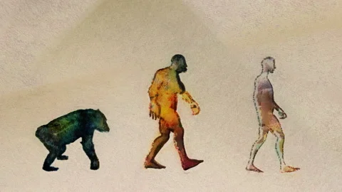 Human Evolution Main Stages Timeline Pai... | Stock Video | Pond5