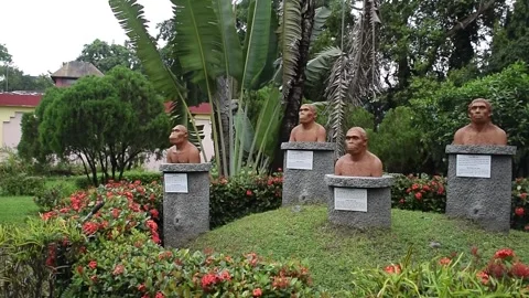 Human Evolution Sculpture Stock Video Pond5