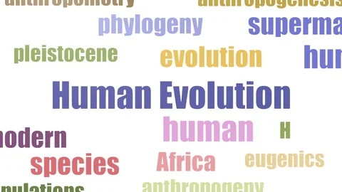 Human Evolution Word Cloud Animated Isol... | Stock Video | Pond5