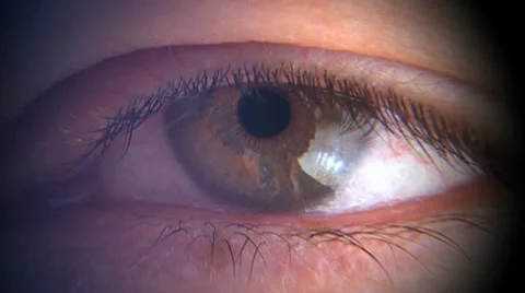 Bsod Stock Videos – Royalty-Free HD & 4K Videos | Pond5